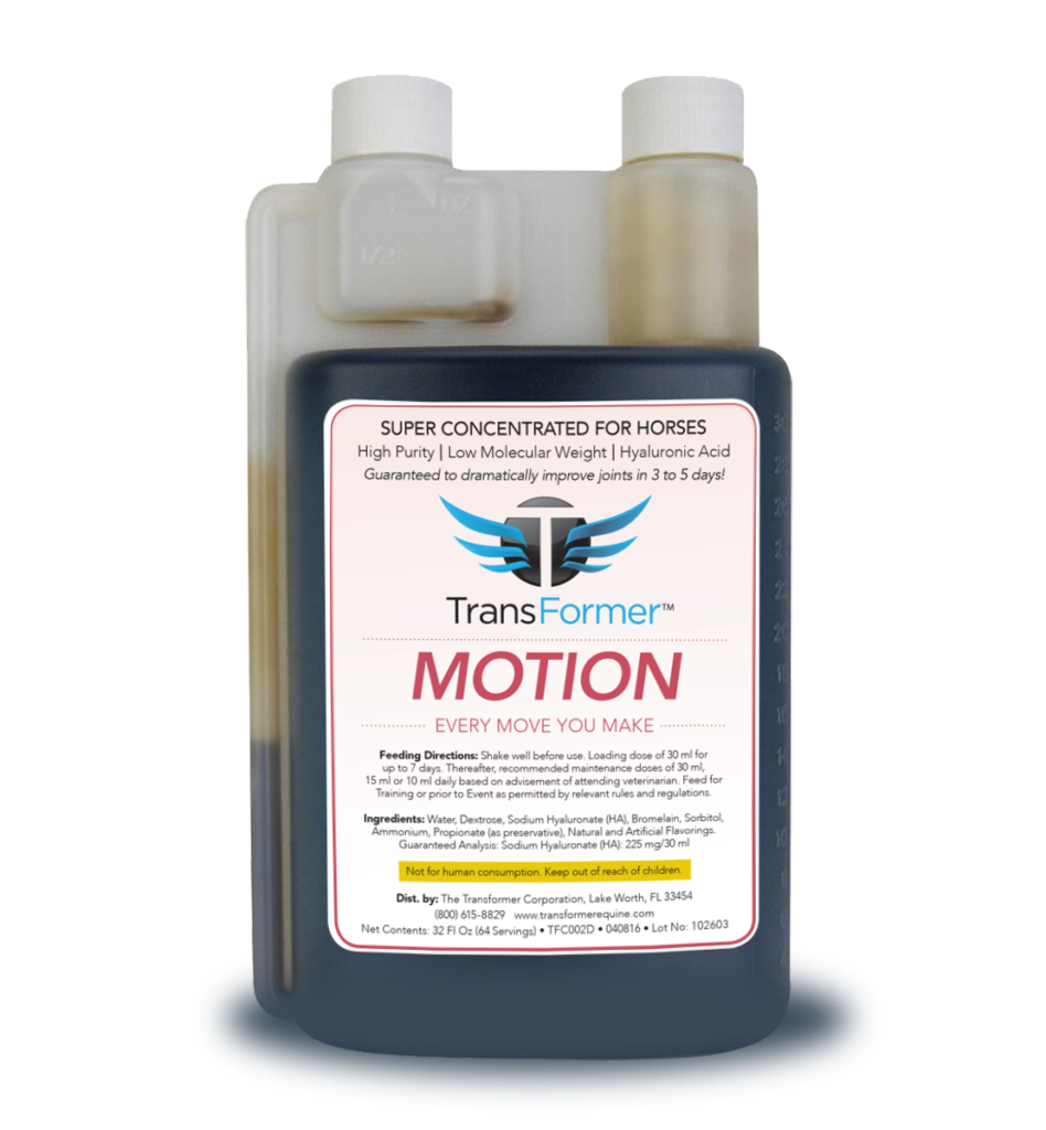 MOTION - 32oz | TransFormer MOTION - 32oz | TransFormer